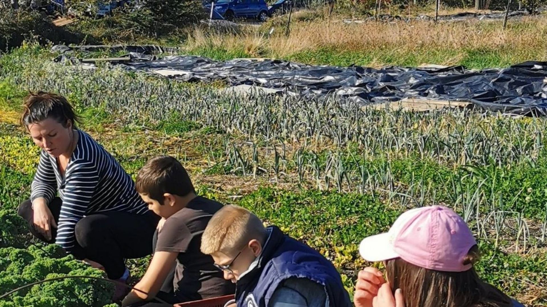 Ditep Ardèche - Dispositif Institut Thérapeutique Éducatif et Pédagogique de l'Ardèche